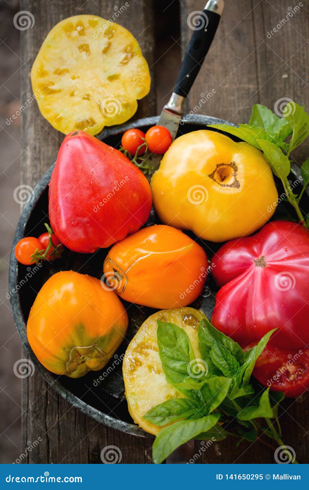 Large Juicy Multi-colored Tomatoes Stock Image - Image of agriculture ...