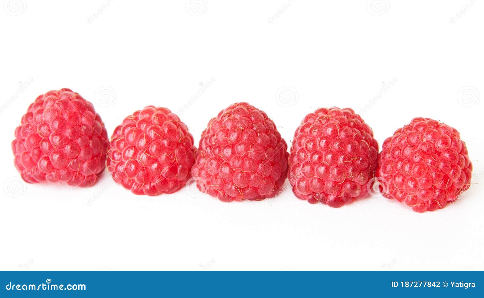 Large Juicy Raspberries on a White, Stacked in a Row Stock Photo ...