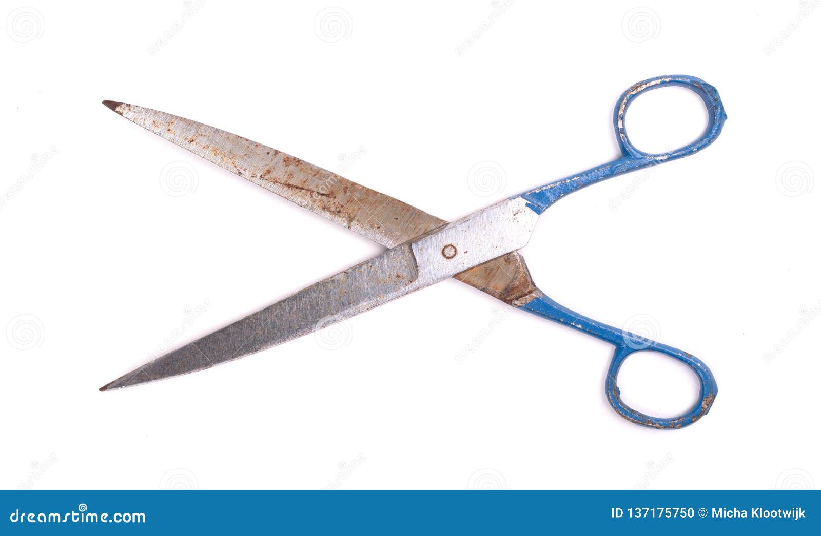 Large kitchen scissors stock photo. Image of background - 137175750