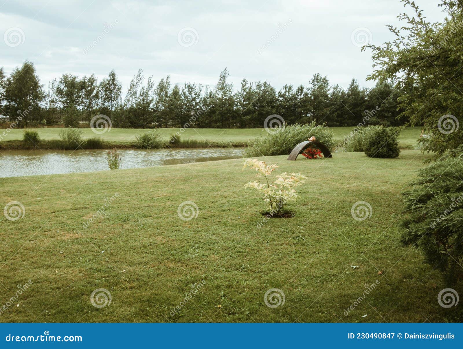 Large Lawn Area and Backyard Pond Stock Image - Image of field, grass ...