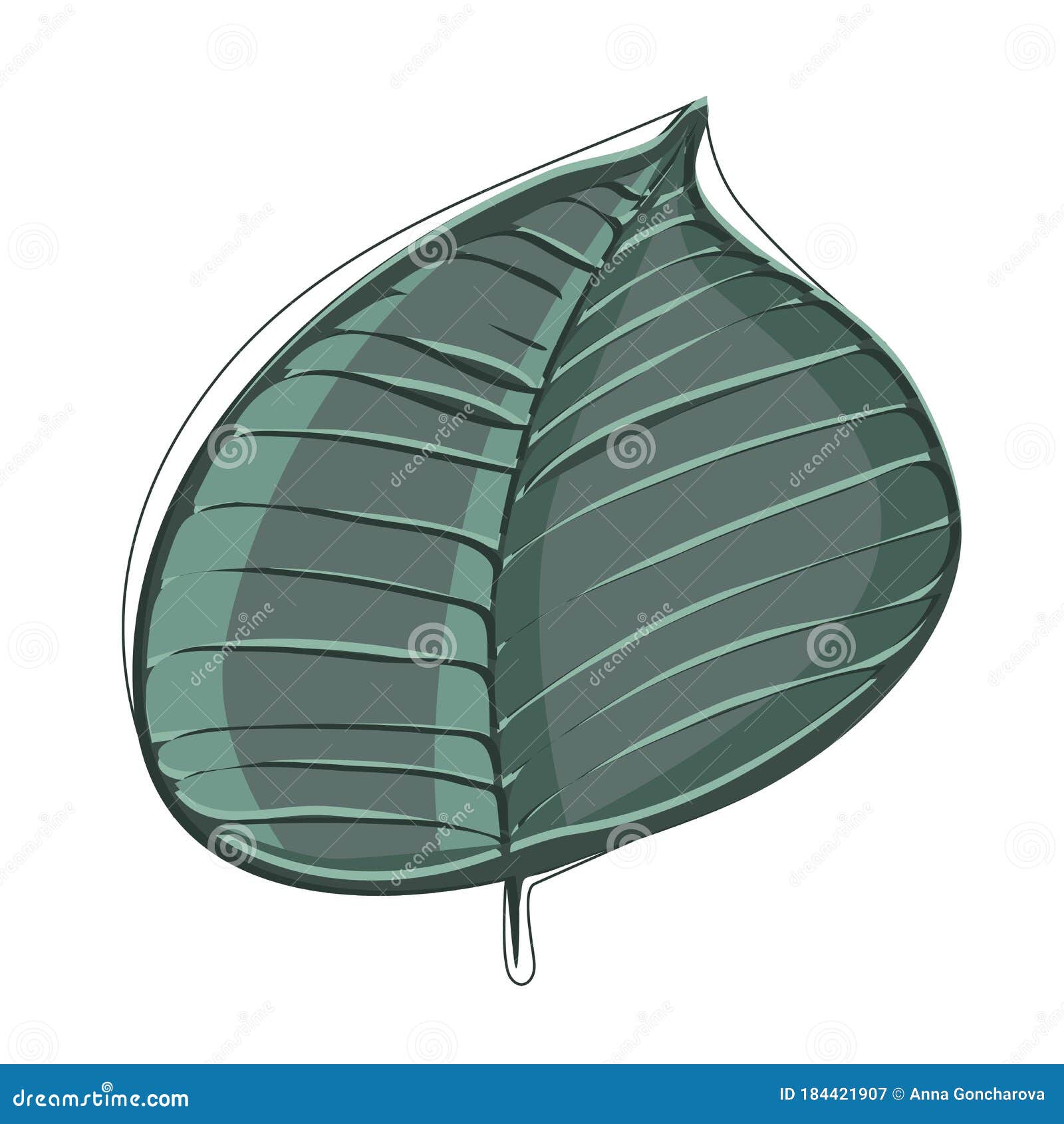 Large Leaf of a Tree Plant Volumetric Vector Image Stock Vector ...
