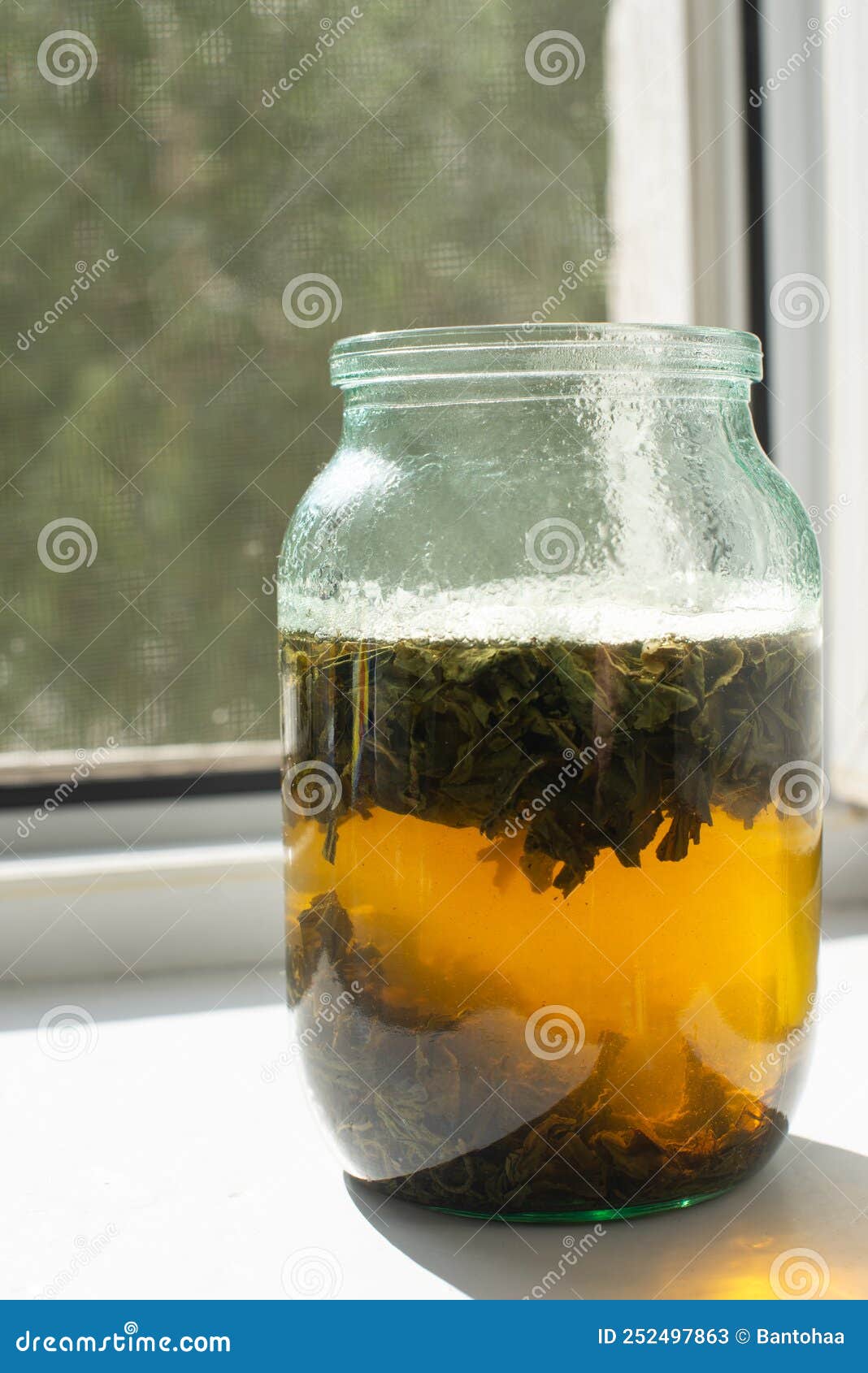 Large Leaves of Brewed Green Tea in a Glass Container Stock Image ...
