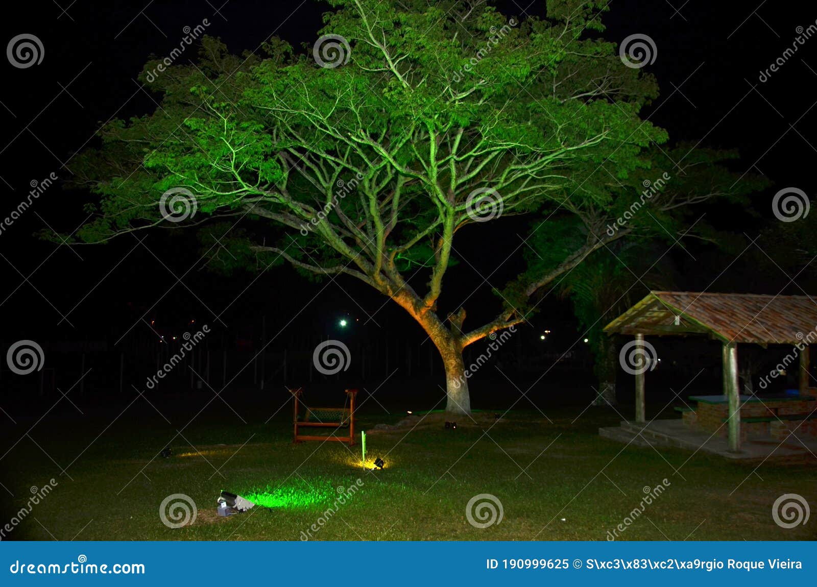 LARGE LIGHTED TREE stock image. Image of garden, ntree - 190999625