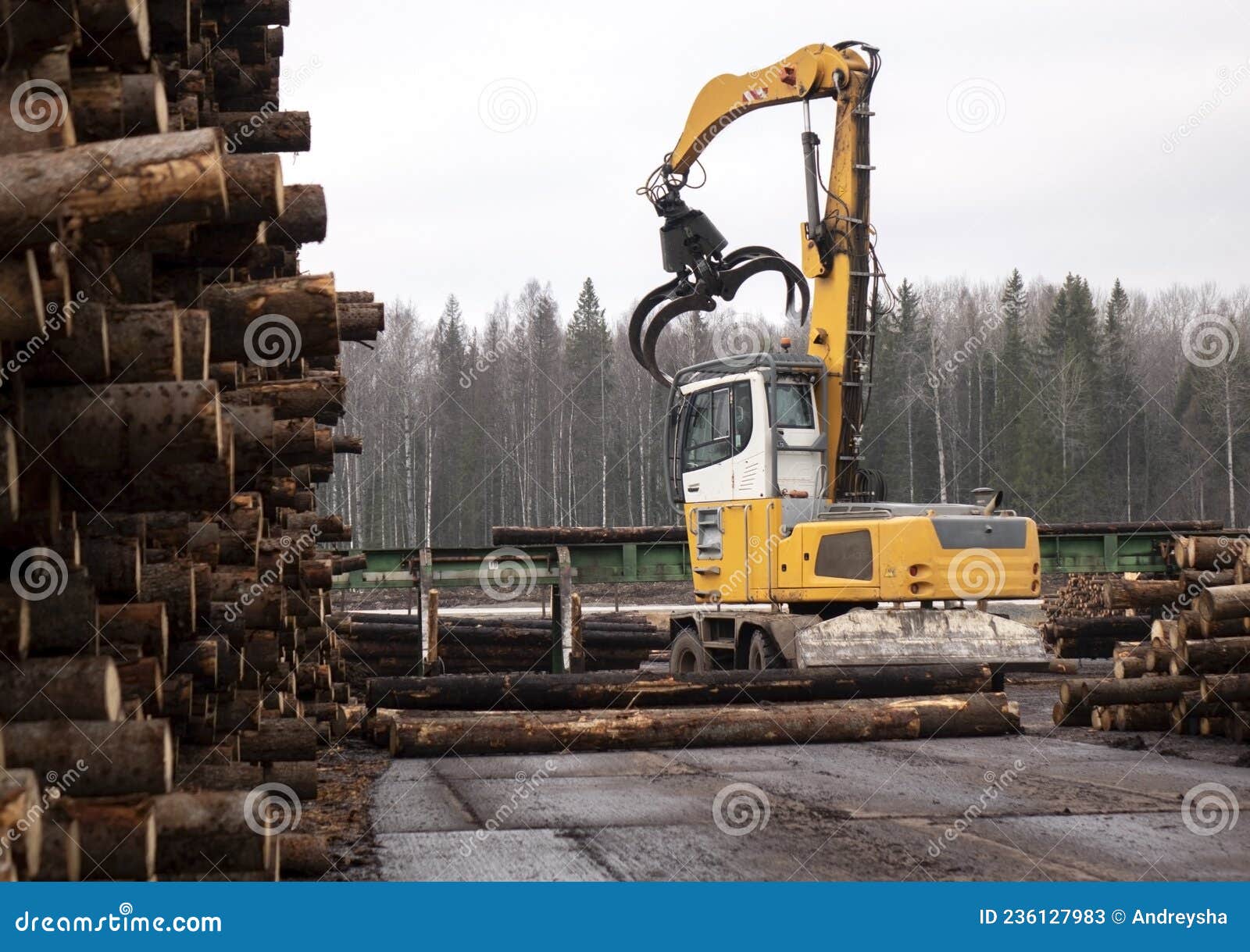 A Large Loader of Logs at a Sawmill of Coniferous Trees Editorial Stock ...