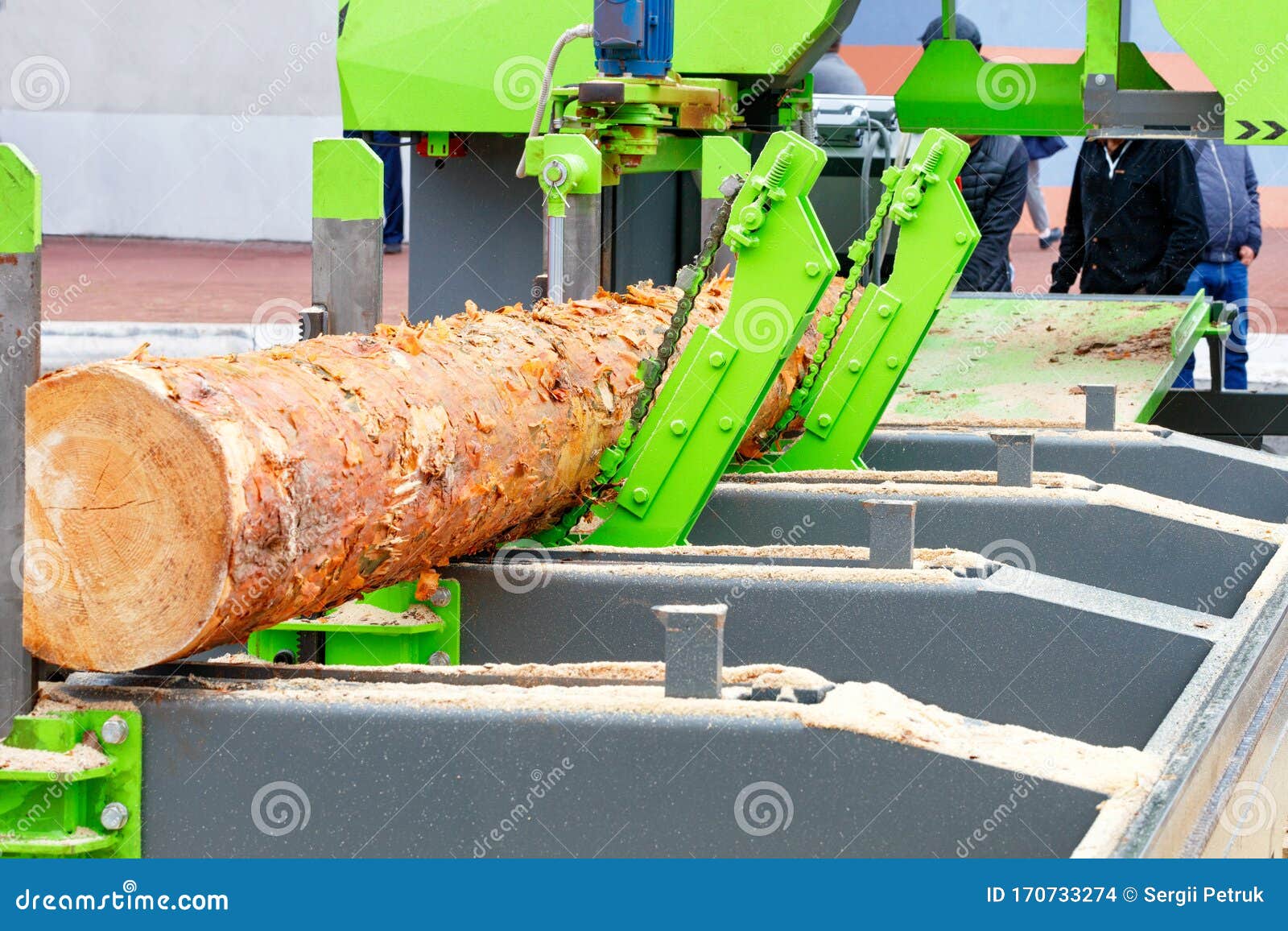 A Large Log is Automatically Fed for Sawing in a Modern Woodworking ...