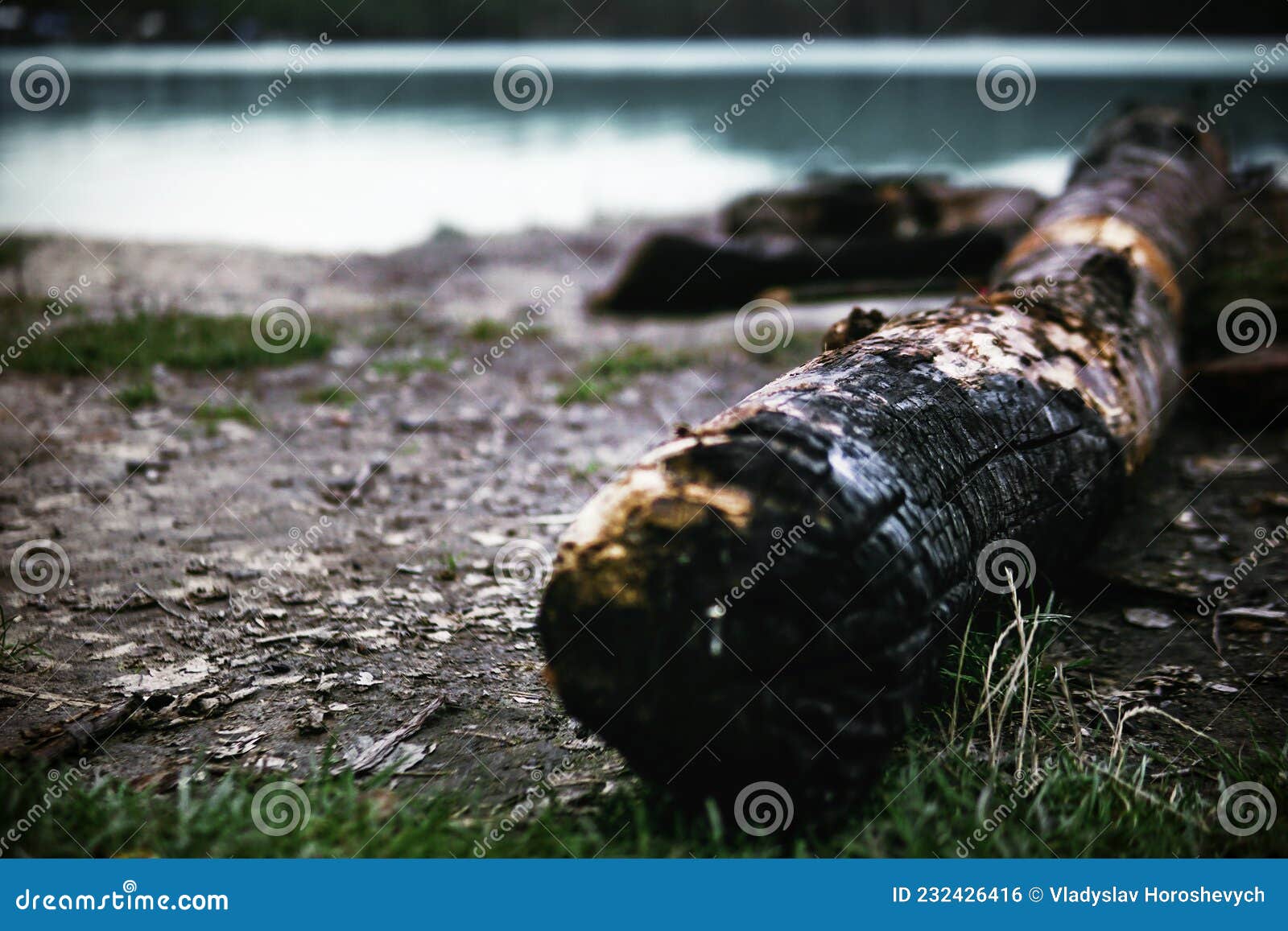 A Large Log Lies on the Shore. Burning Fire on the Beach. Beach ...