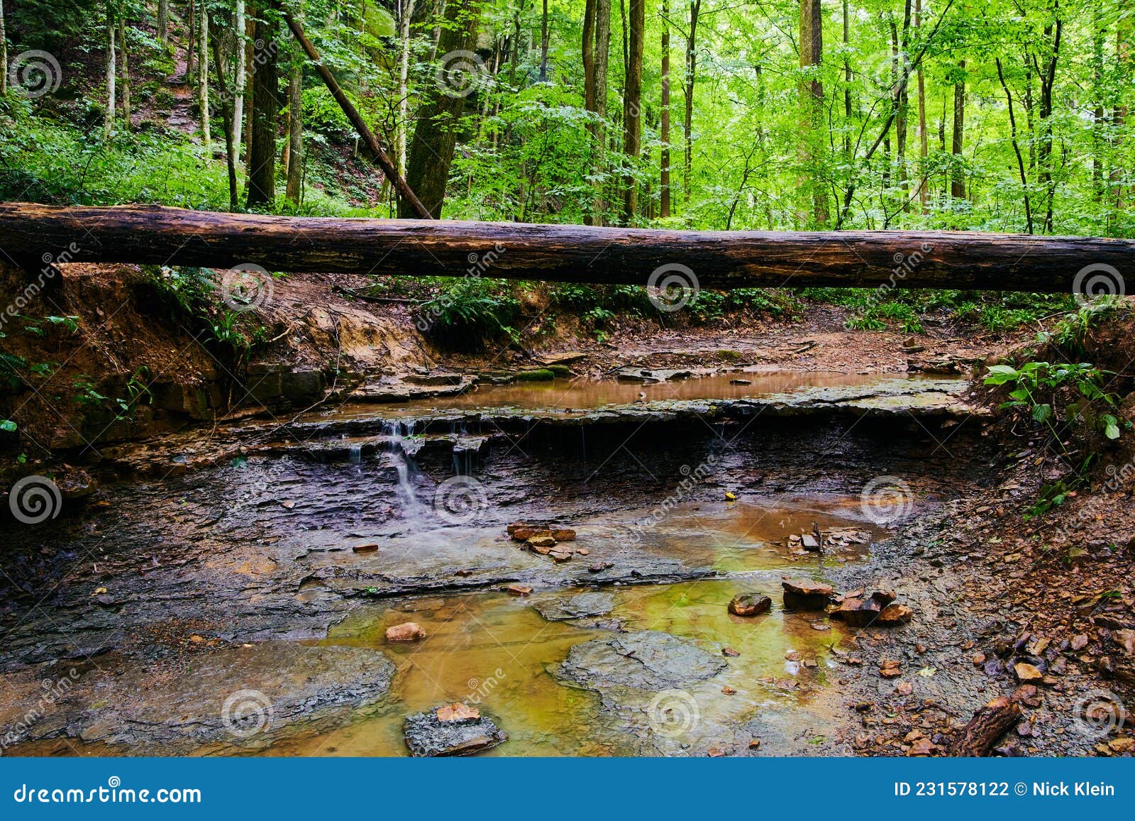 Large Log Over Brown Cliffy River Stock Photo - Image of land, mountain ...