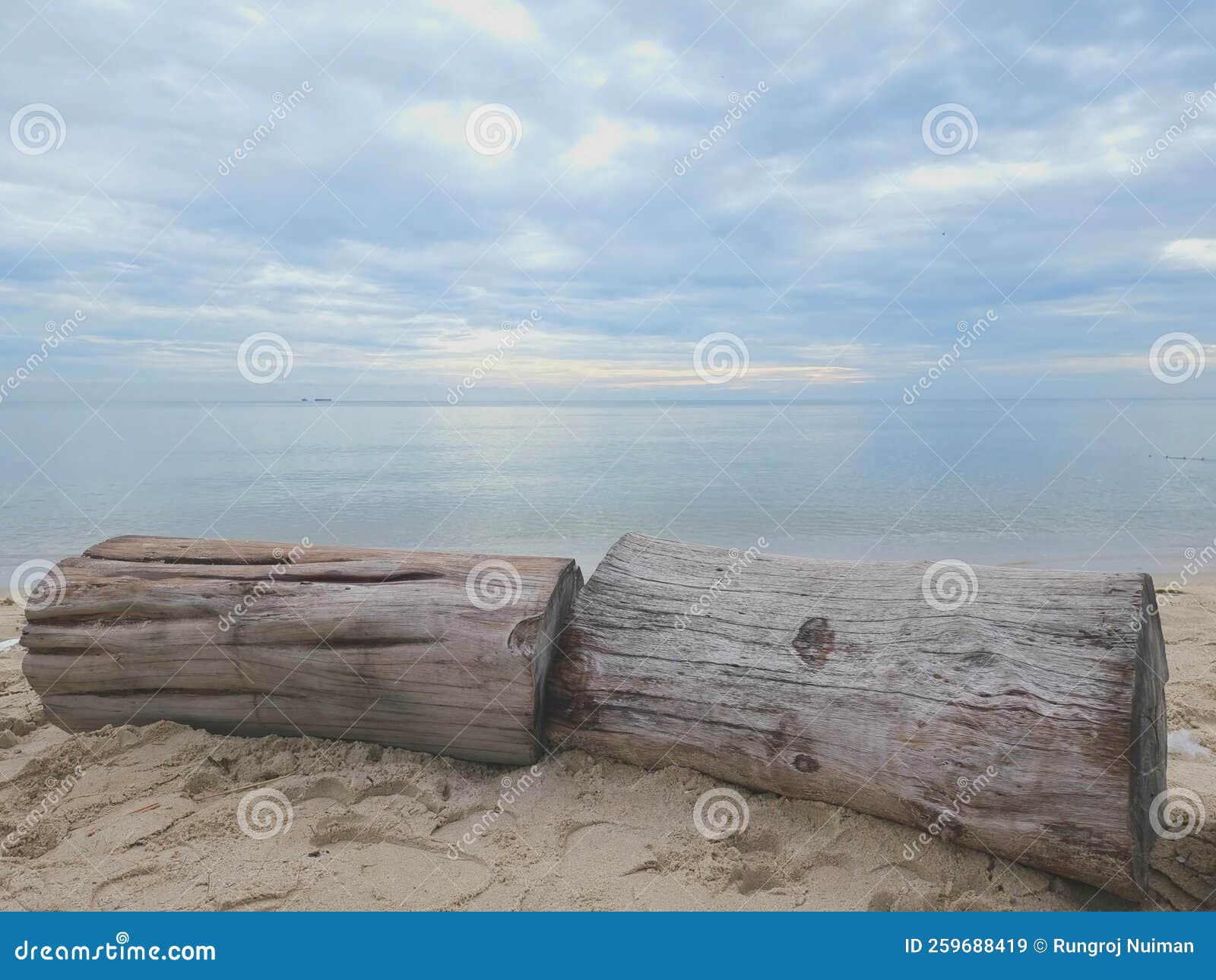 Large Logs Was Placed on the Beach. Bright Blue Sky in the Morning ...