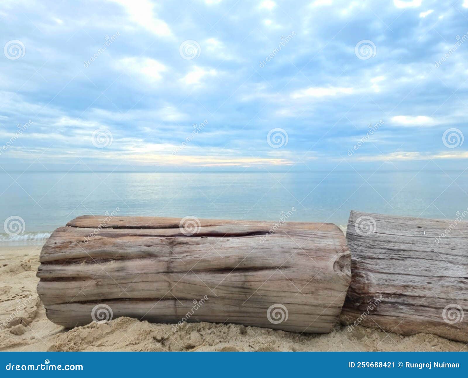 Large Logs Was Placed on the Beach. Bright Blue Sky in the Morning ...