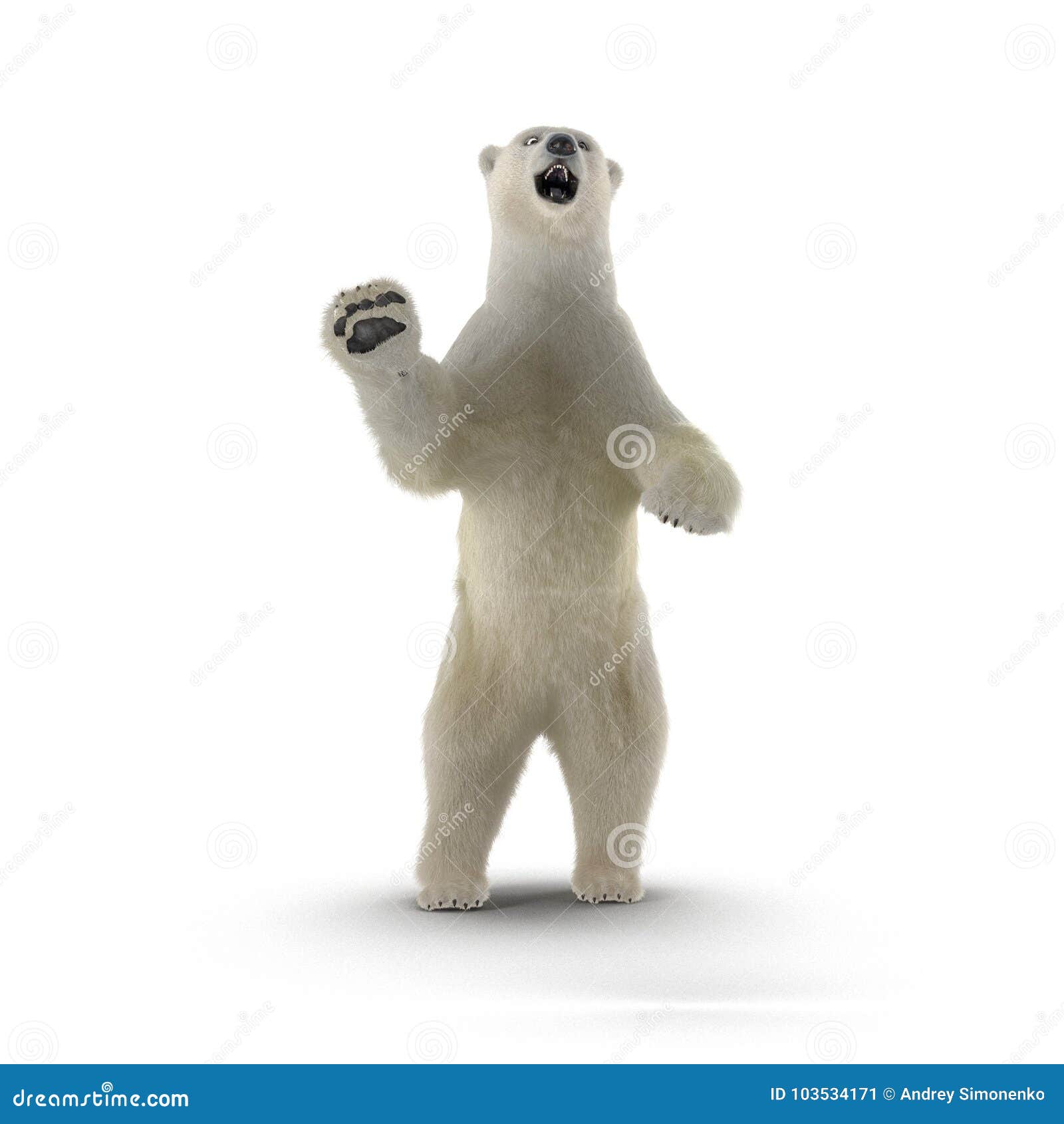 Large Male Polar Bear Standing Pose on a White. Front View. 3D ...