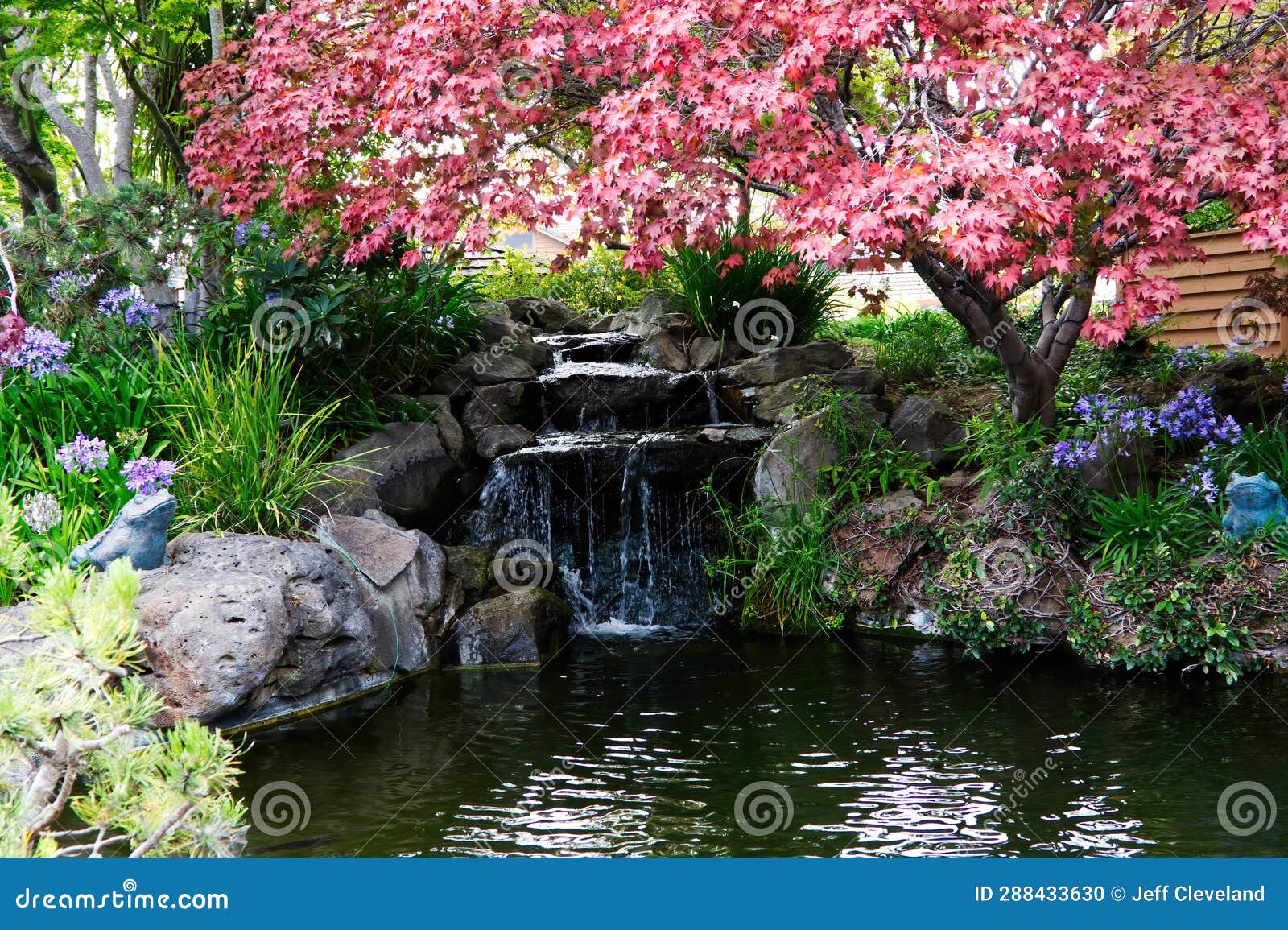 Large Man-Made Pond with Step Waterfall and Plants Stock Photo - Image ...