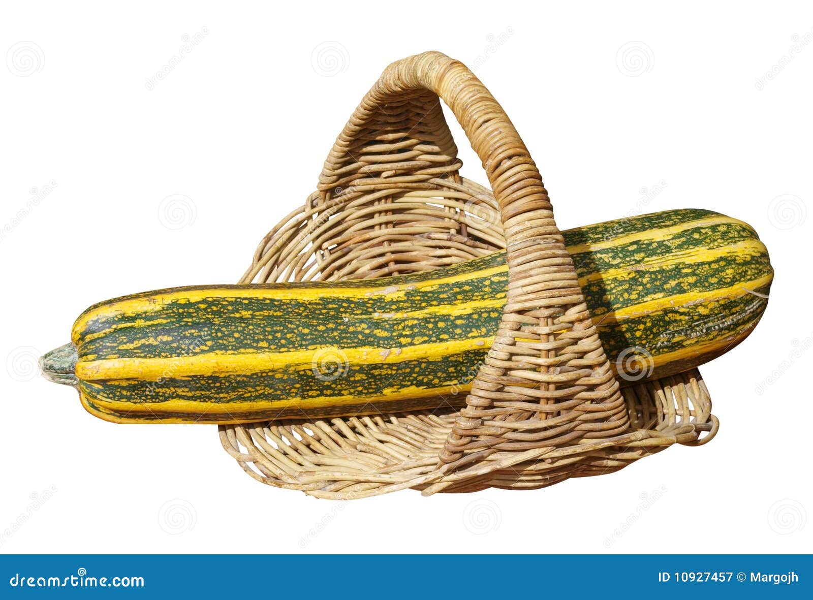 Large Marrow in Basket stock image. Image of isolated - 10927457