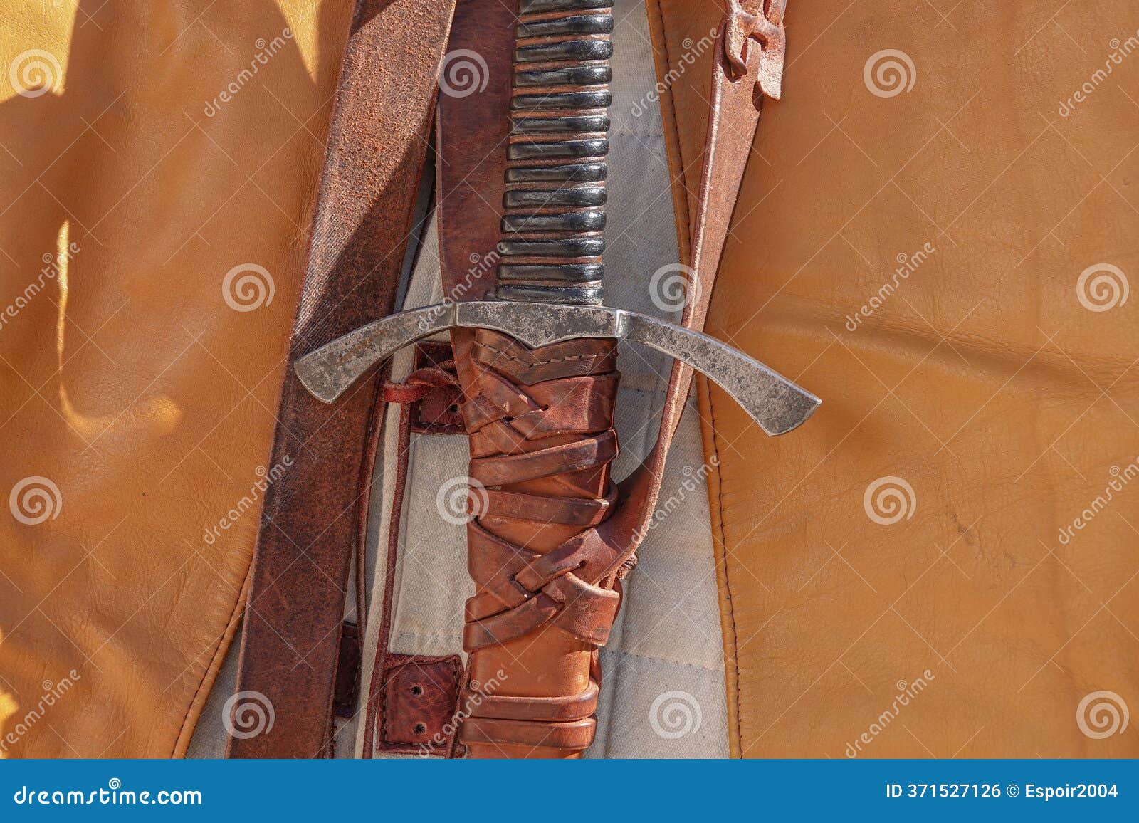 Knight Sword In Forest Royalty-Free Stock Photography | CartoonDealer ...
