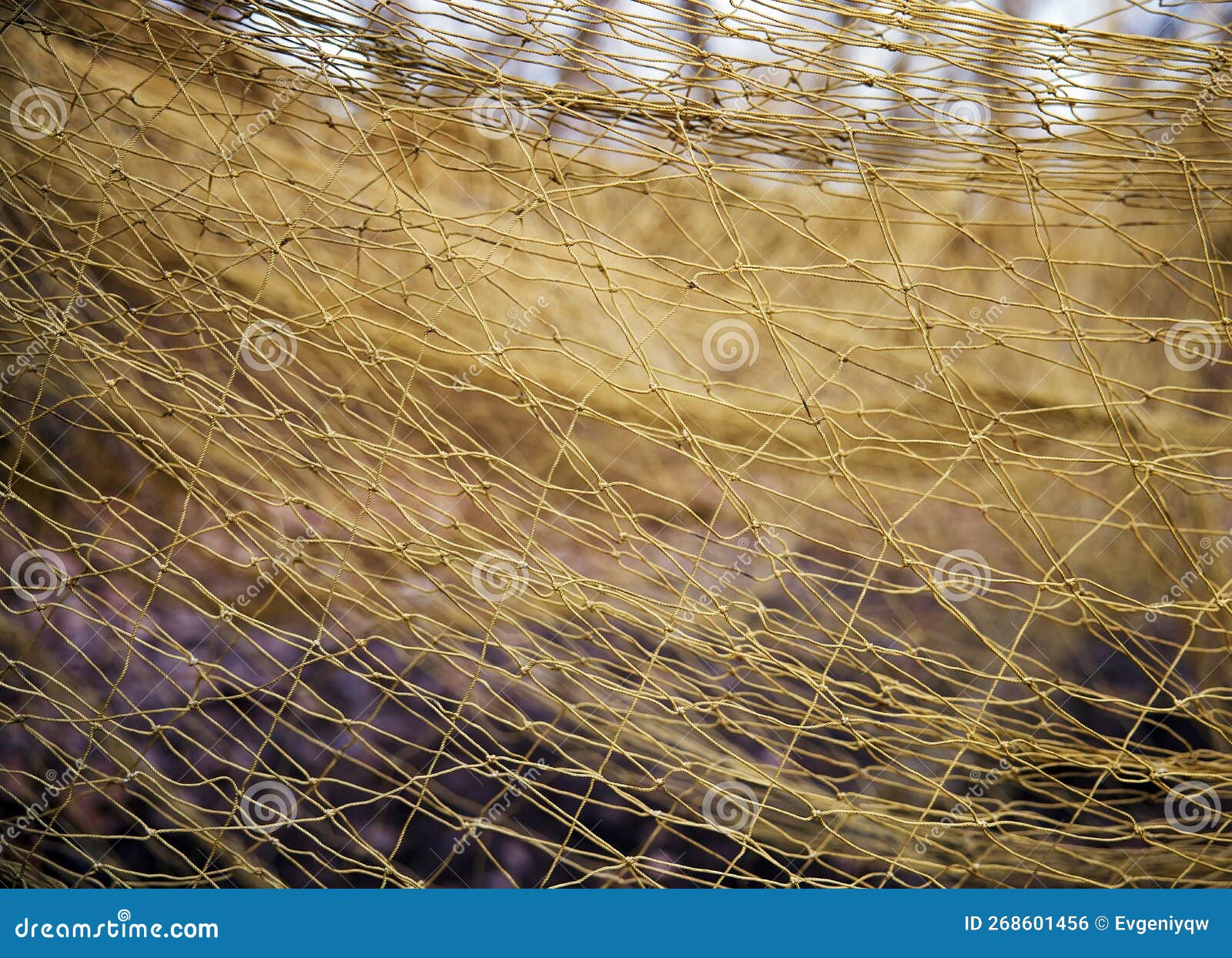 Nets for Catching Wild Animals in the Forest. Trapping Game Animals ...