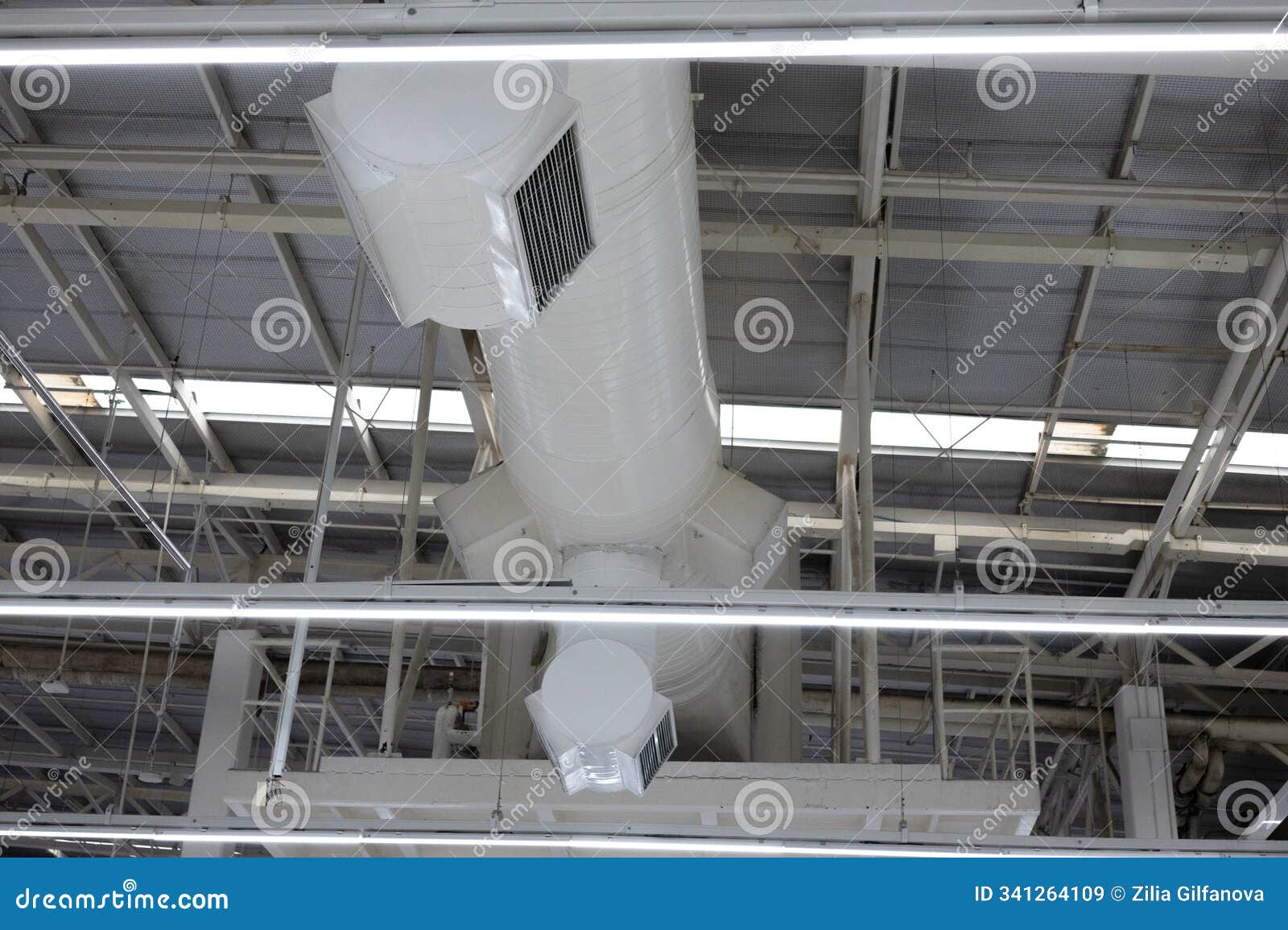 Large Metal Structures Ceiling. Building Ceiling Structure Show ...