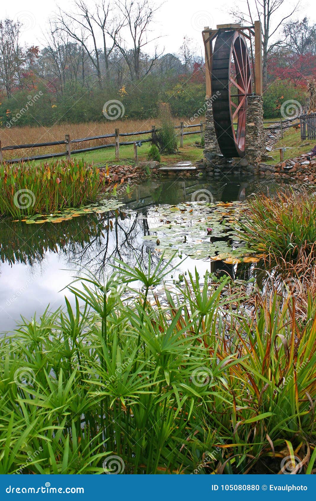 Fall Waterwheel stock photo. Image of agriculture, rusty - 105080880