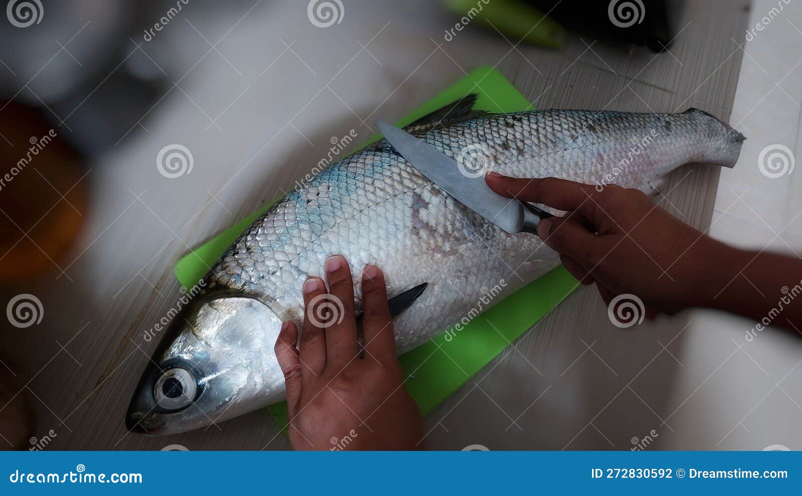 Large Milkfish on a Green Cutting Board To Be Cut Stock Photo - Image ...