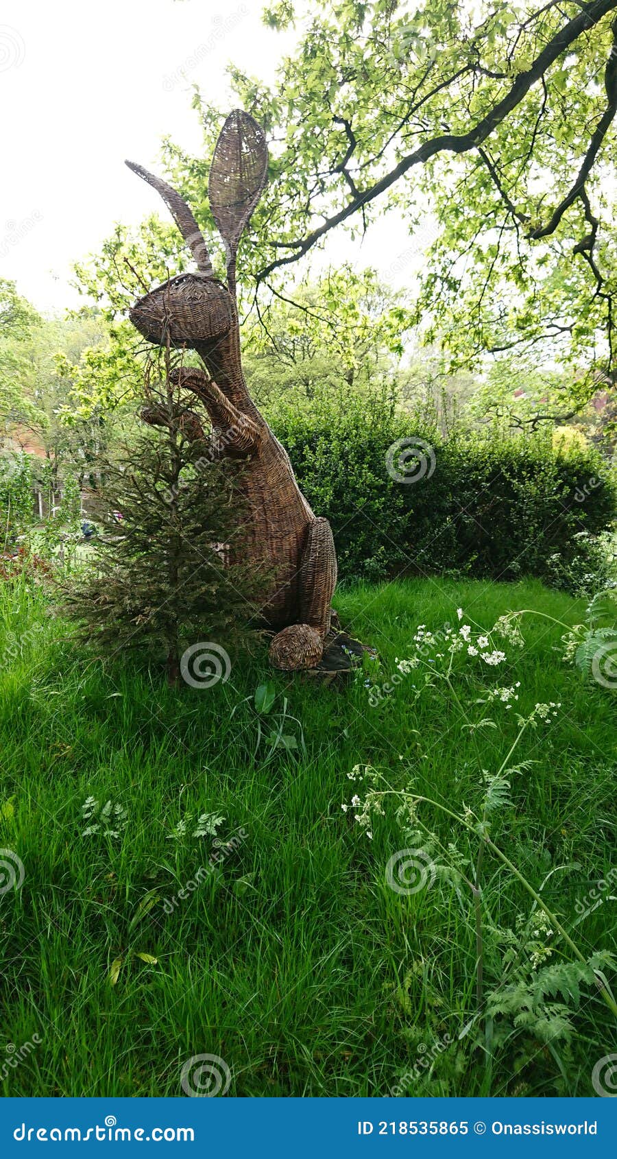 Large Model Rabbit Posing in a Forest Stock Image - Image of model ...
