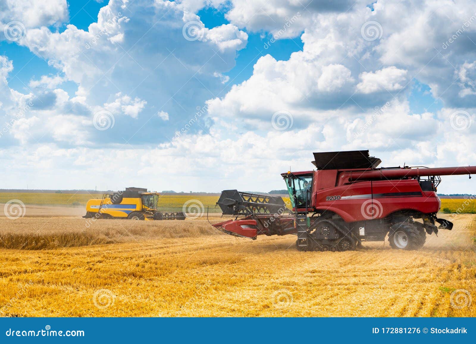 Large Modern Combines in a Yellow Field Stock Photo - Image of flour ...