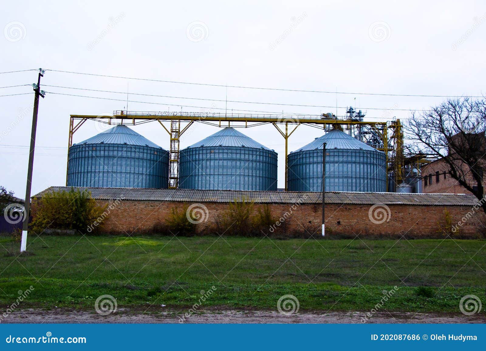 Large Modern Plant for Storage and Processing of Grain Crops. View of ...