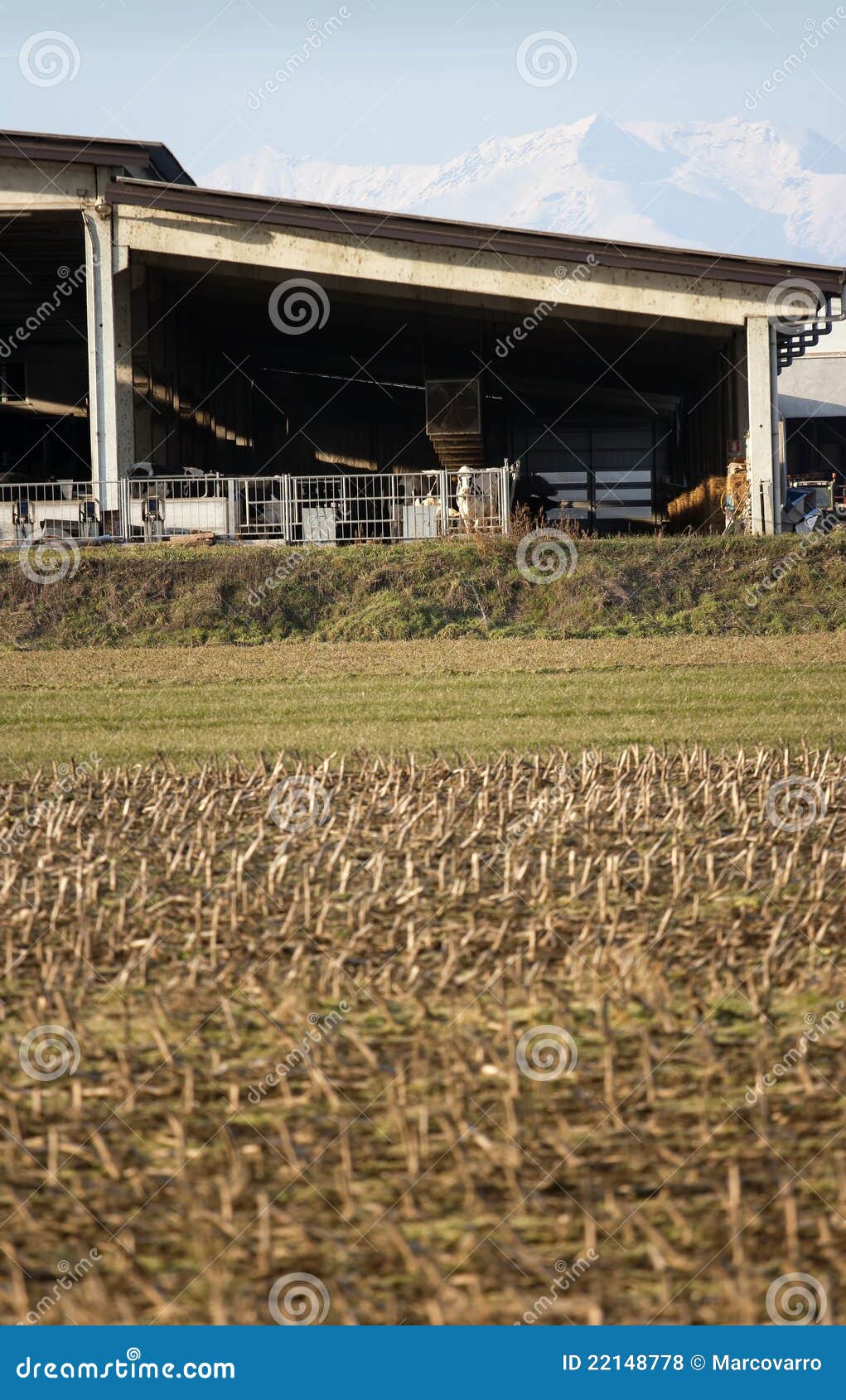 Large modern stable stock photo. Image of field, mammals - 22148778