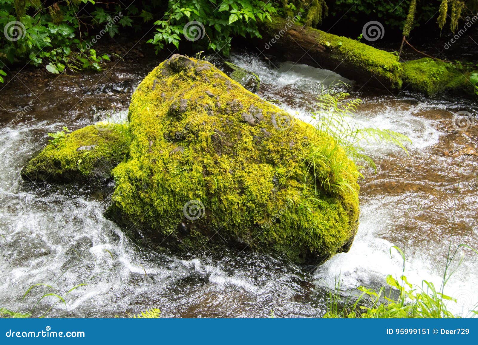Large Mossy Rock Setting in the Brook Stock Image - Image of peat ...