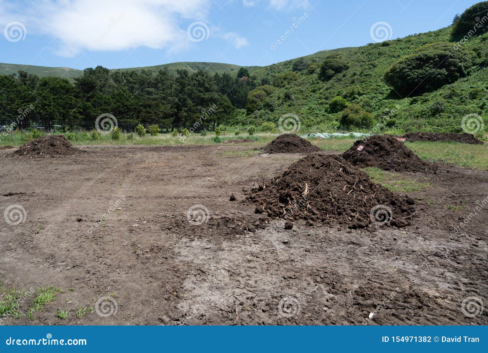 Large Mounds of Manure and Compost Preparing for Use on Crops in Field ...
