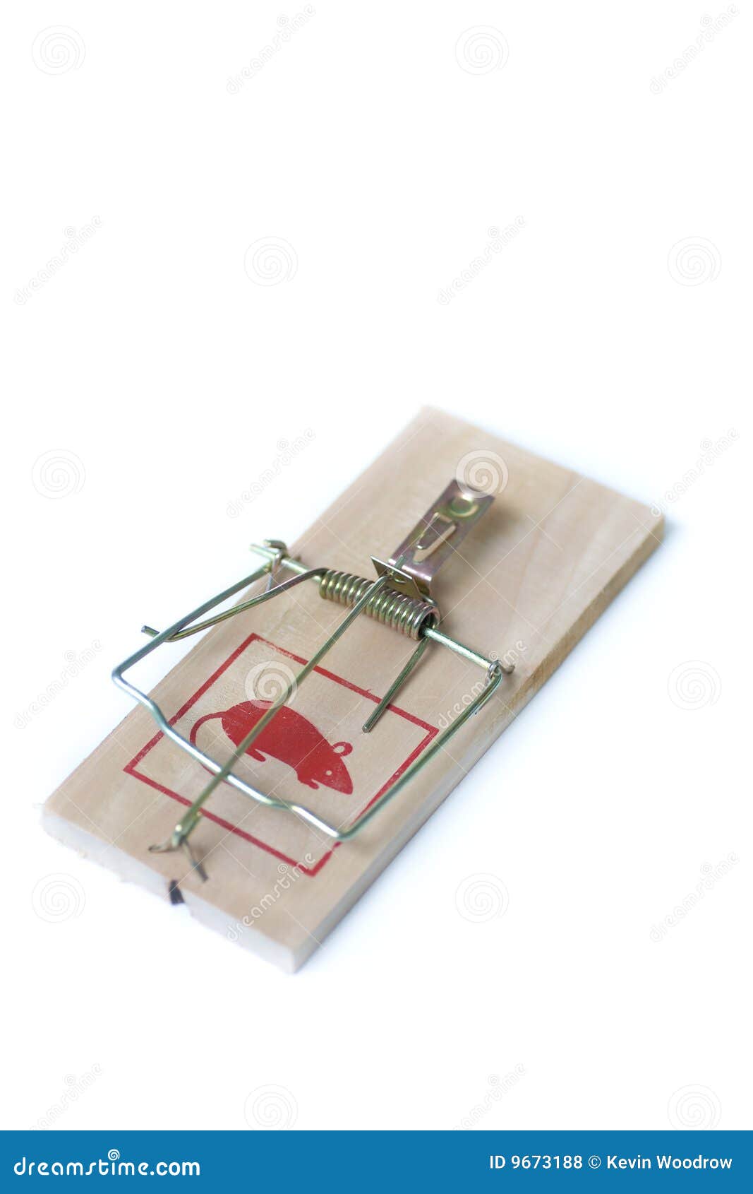 Large Mouse Trap stock photo. Image of kill, caught, isolated - 9673188