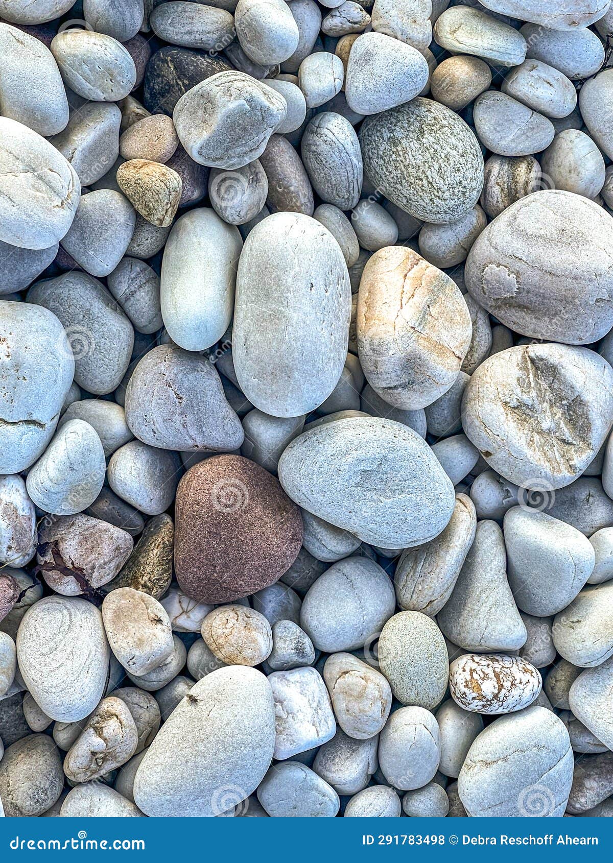 Large Multi Coloured Pebbles and Stones Stock Photo - Image of beach ...