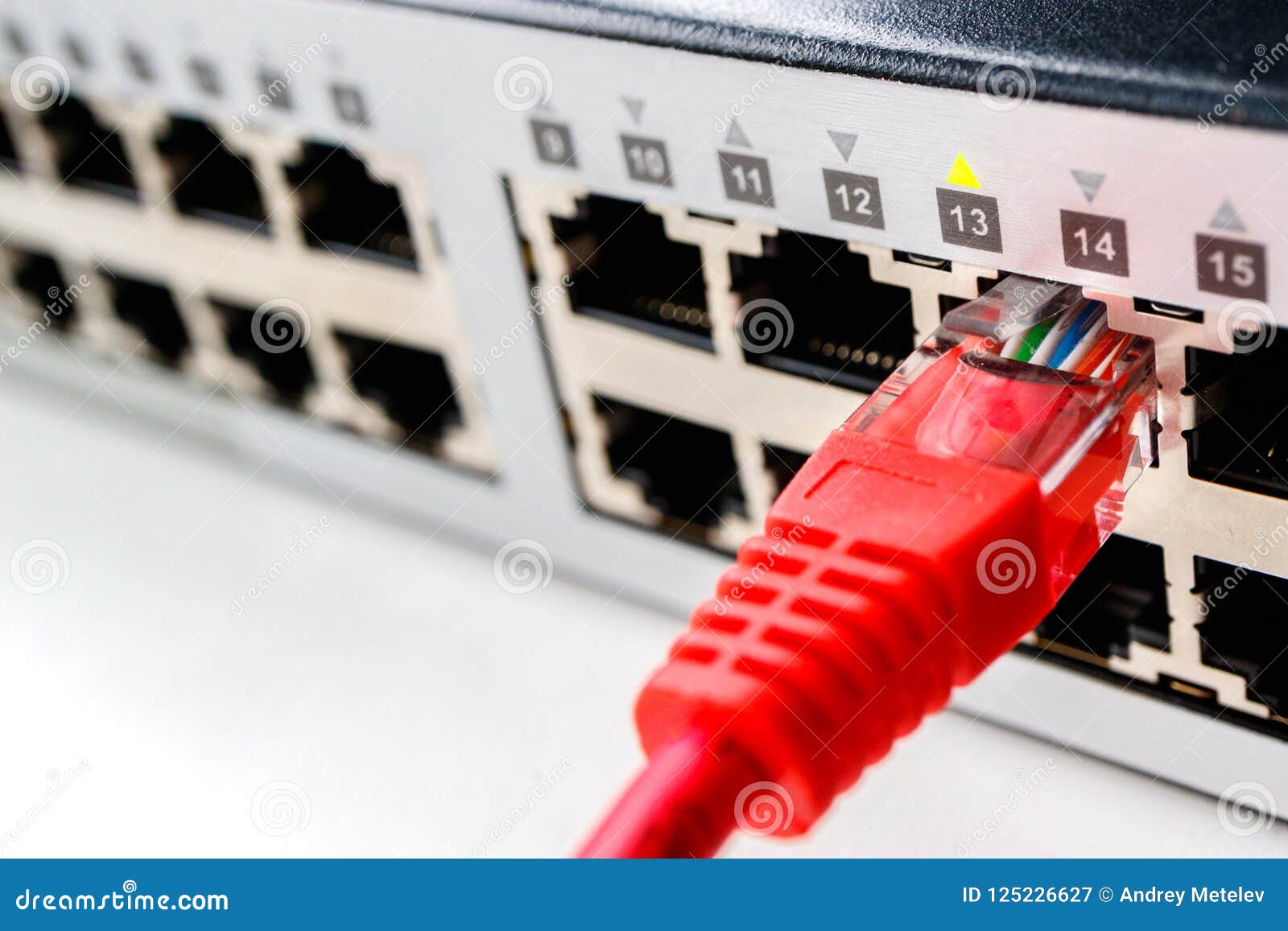 In a Large Multiport Switch is Inserted One Red Patch Cord, an ISP ...