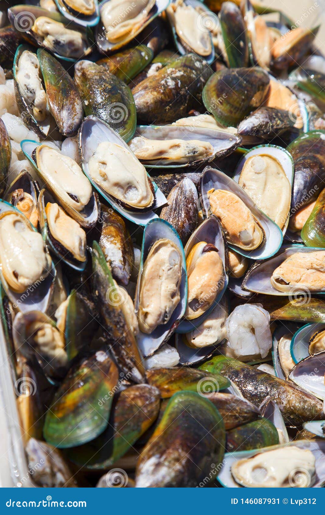 Large Mussels Large in Full Frame. Stock Image - Image of dish, texture ...