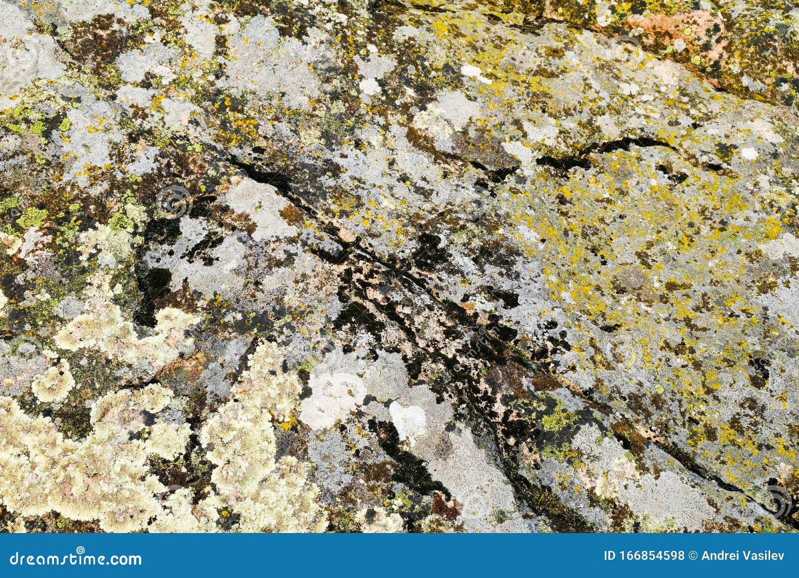 Large Natural Granite Rock Surface with Moss Background and Texture ...