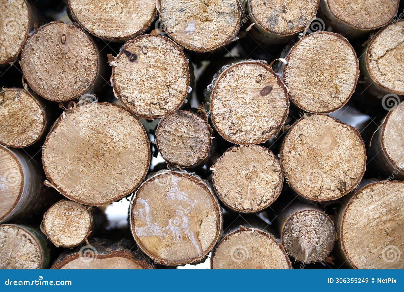 Large, Neatly Stacked Pile of Cut Tree Logs Stock Image - Image of pine ...