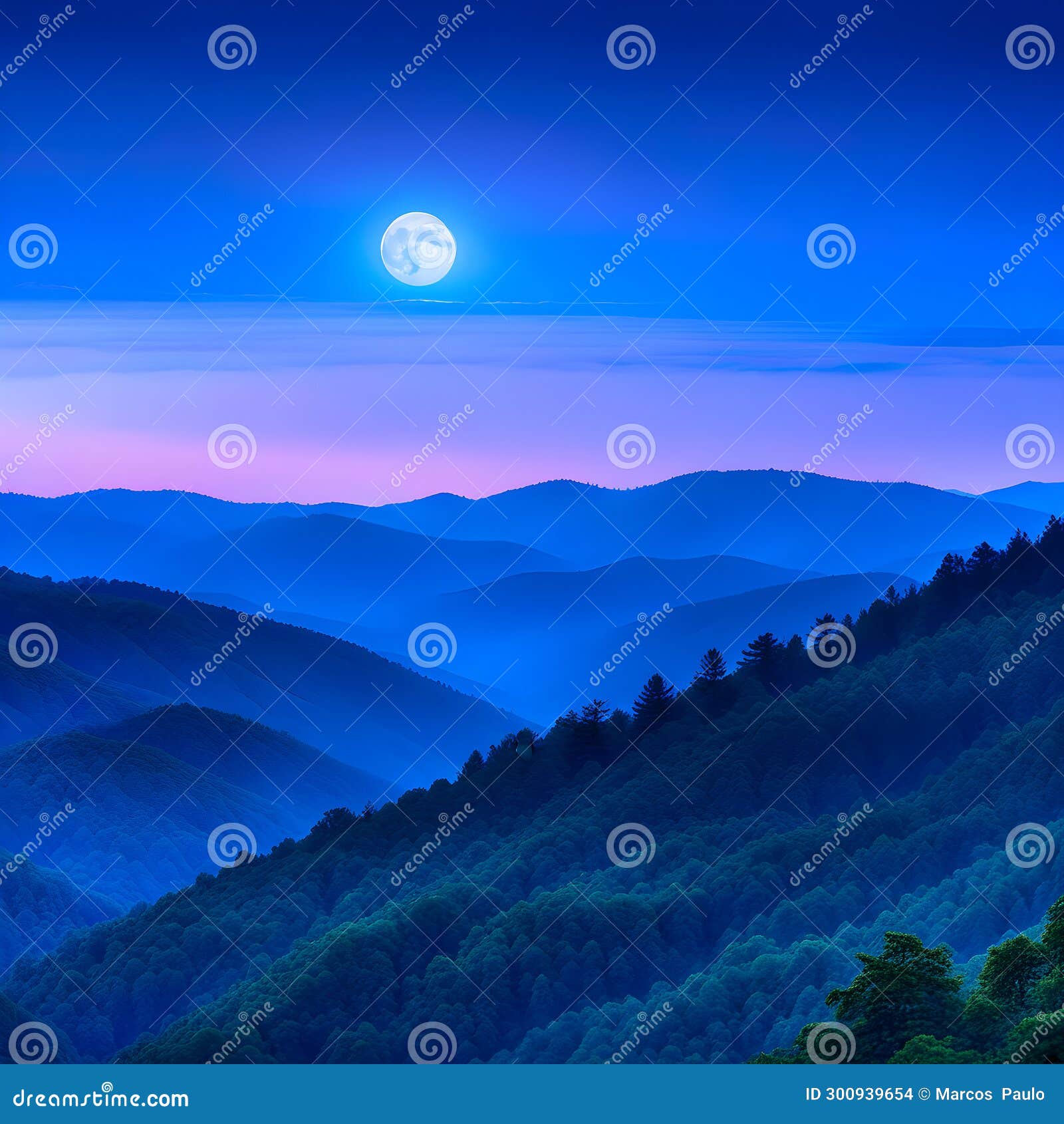 Large Night Forest Landscape with Full Moon Stock Illustration ...