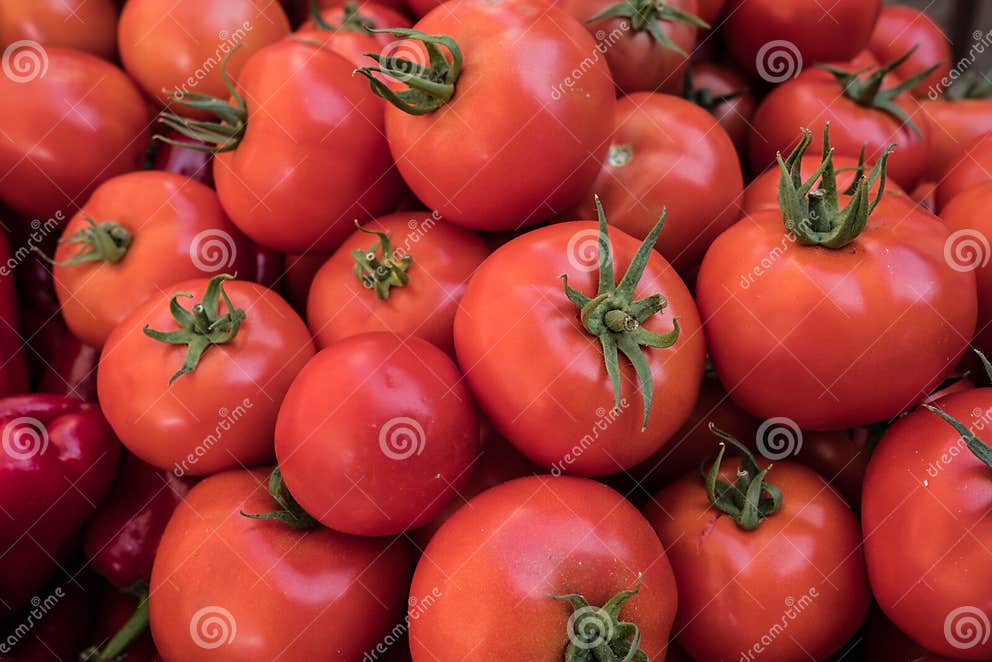 A large number of tomatoes stock image. Image of color - 107300225