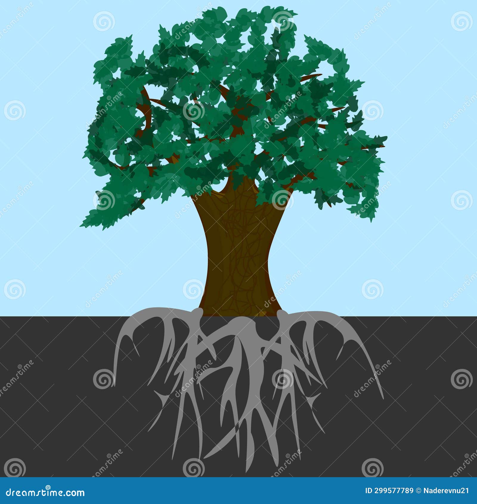 Large Oak Tree with Green Leaves with Roots Stock Illustration ...