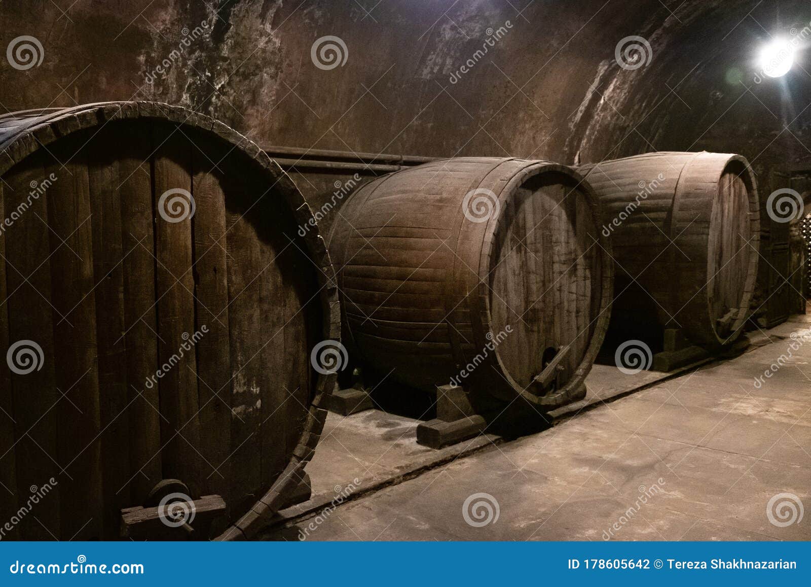 Large Oak Wine Barrels Stand in an Old Ancient Cellar Stock Photo ...