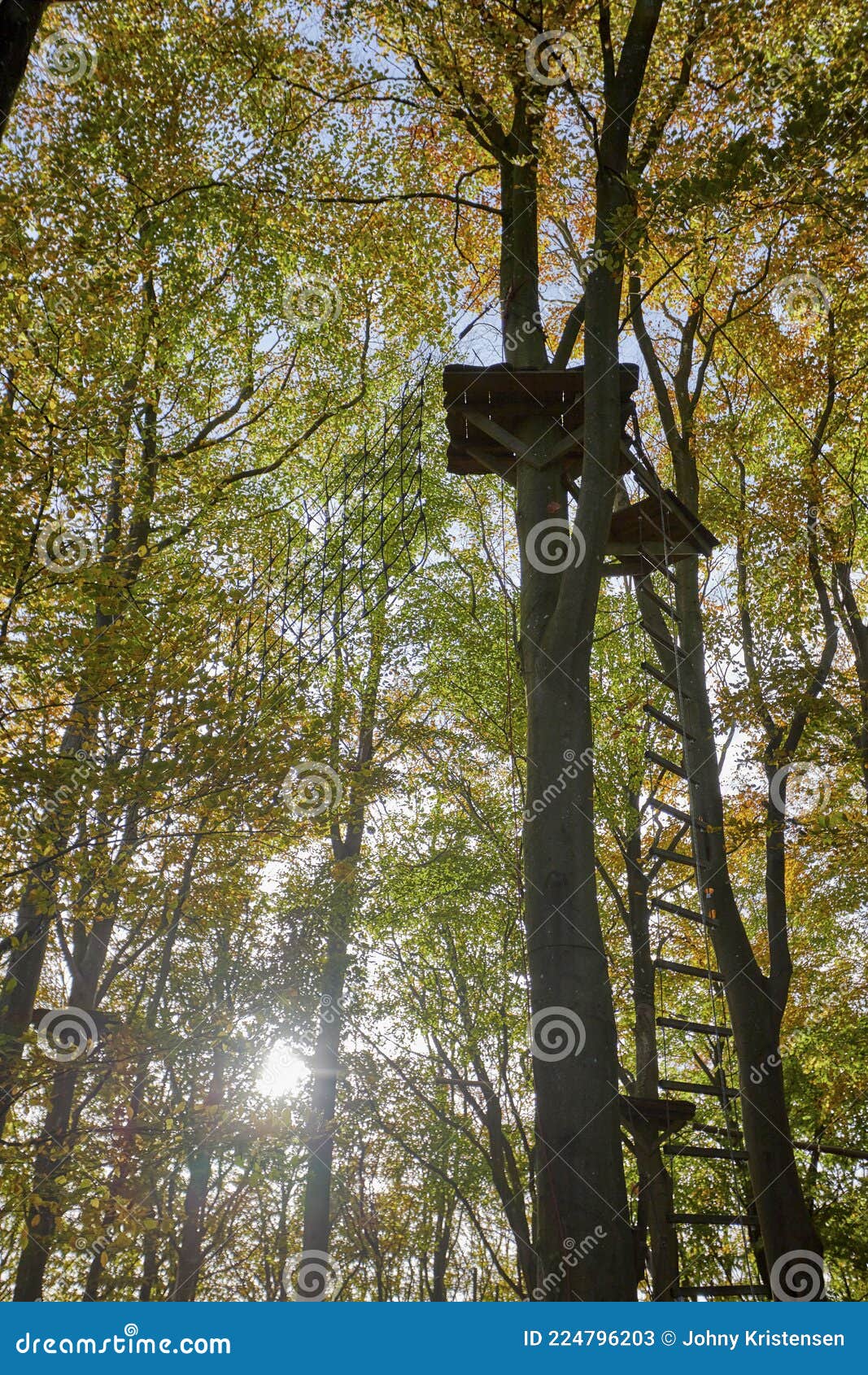 Large Obstacle Course in the Trees in a Forest Stock Image - Image of ...
