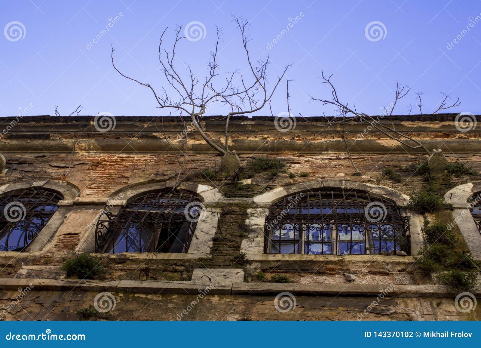 A Large Old Building from Which Trees Grow. an Ancient Building with ...