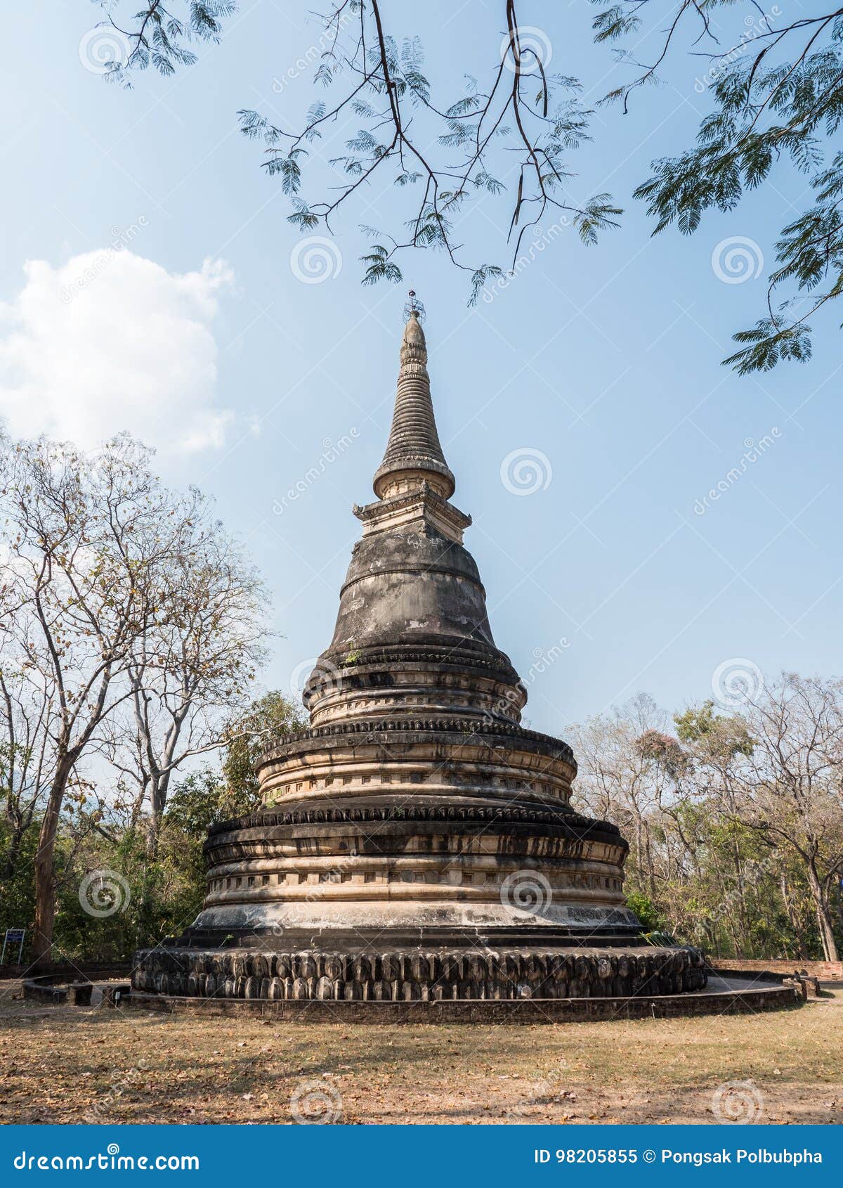 Large Old Pagoda with the Tree Frame. Stock Image - Image of decoration ...