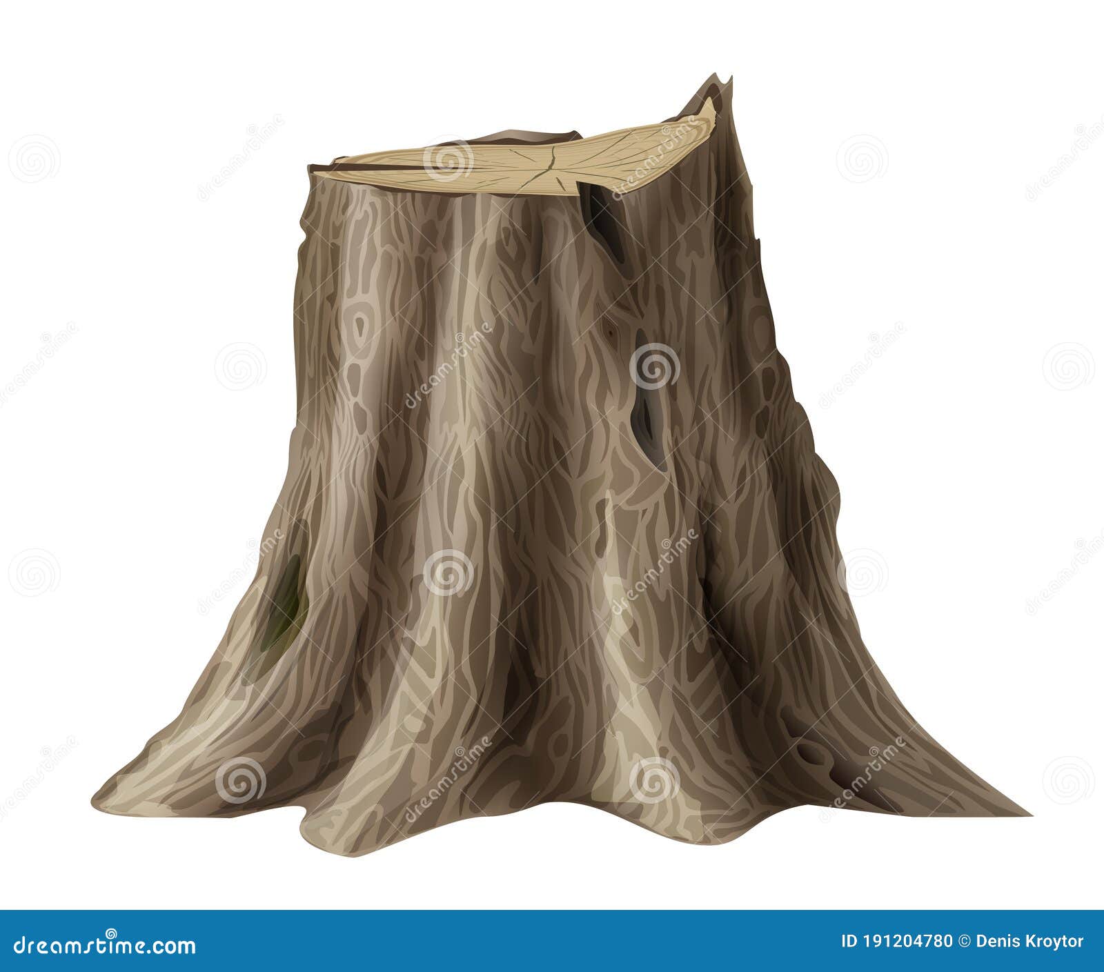 Large Old Tree Stump Oak Broken Trunk Stock Vector - Illustration of ...