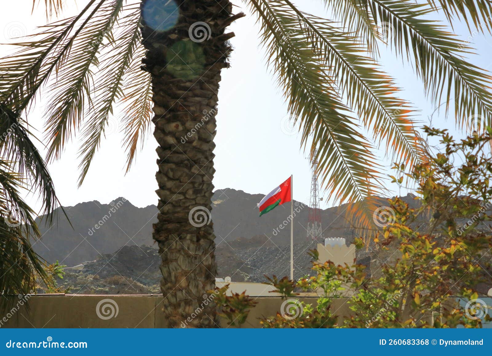 Large Oman Flag Waving in the Wind Stock Photo - Image of oman, omani ...