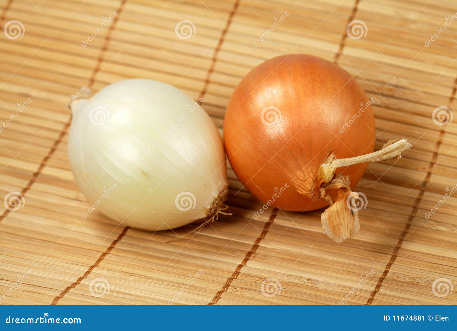 Large onion stock image. Image of vegetables, napkin - 11674881
