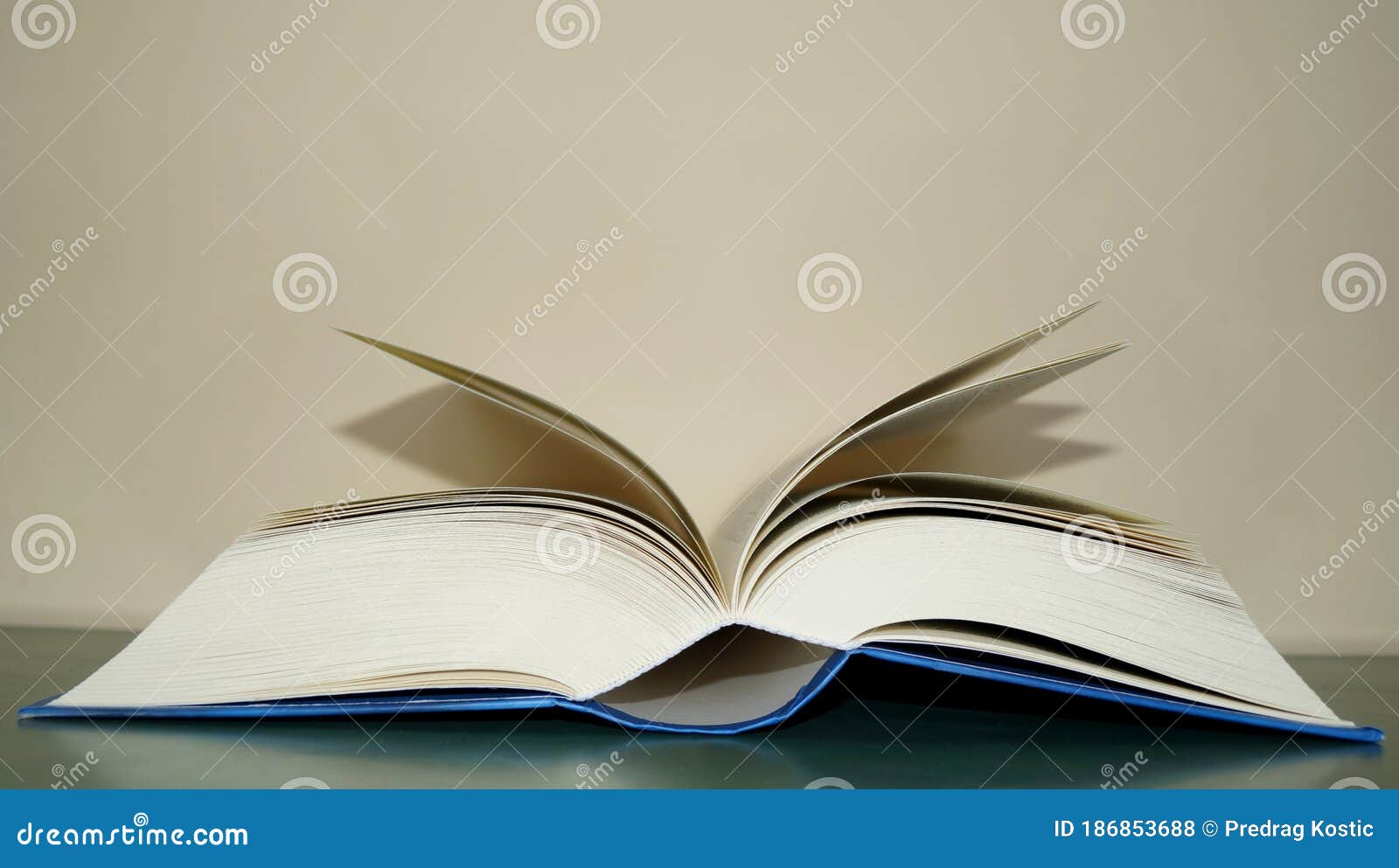 Large open book stock photo. Image of table, books, large - 186853688