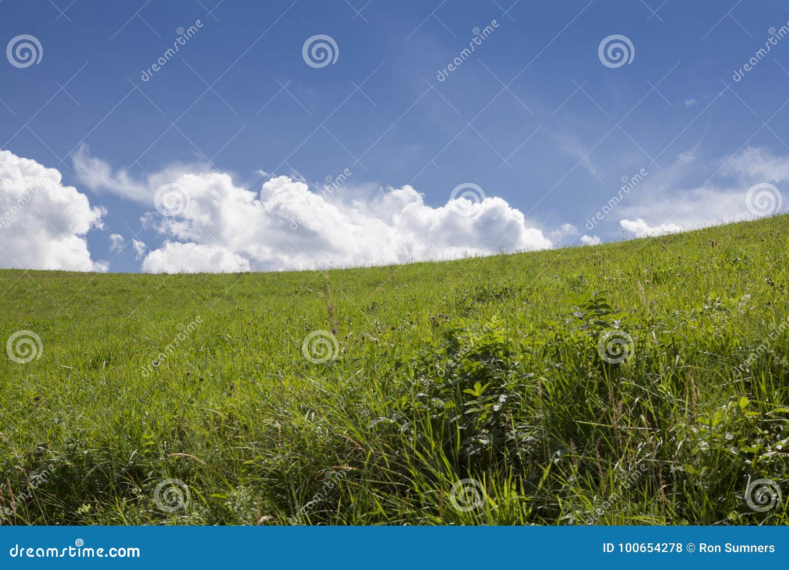 Large Open Field and Clear Sky Stock Photo - Image of season, outside ...