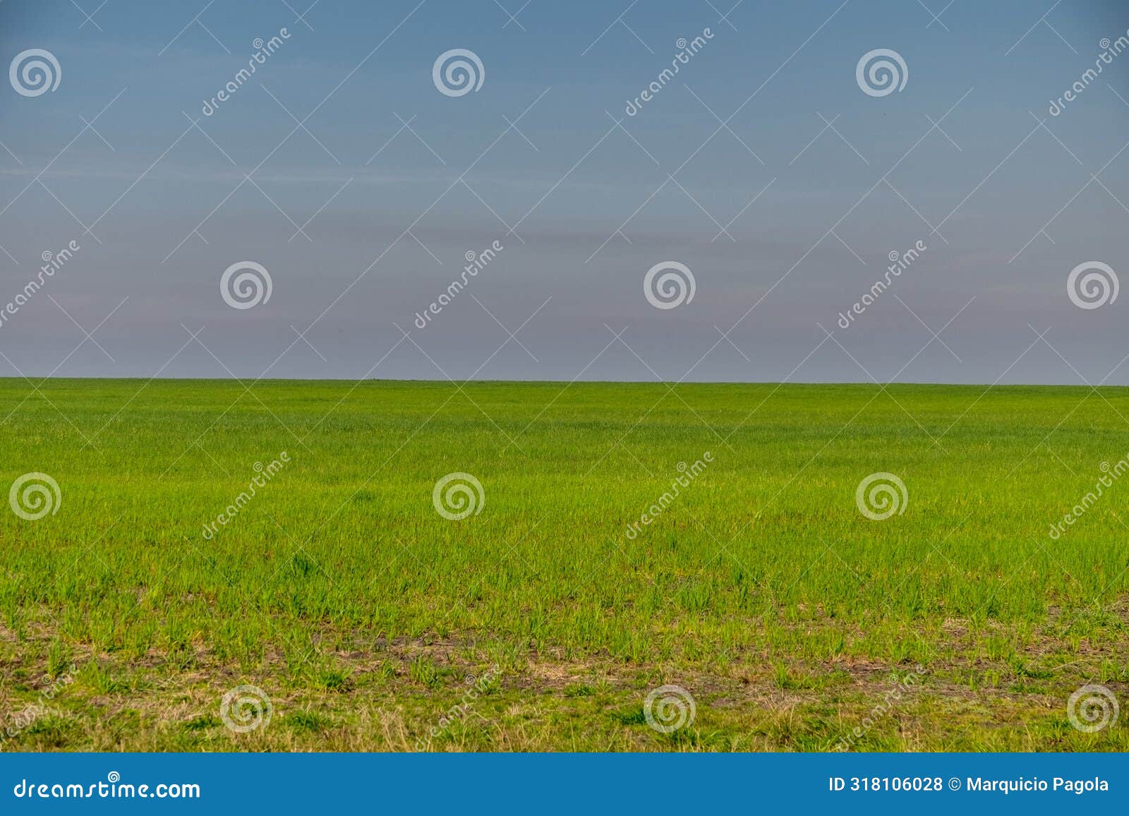 A Large, Open Field of Grass with a Clear Blue Sky in the Background ...