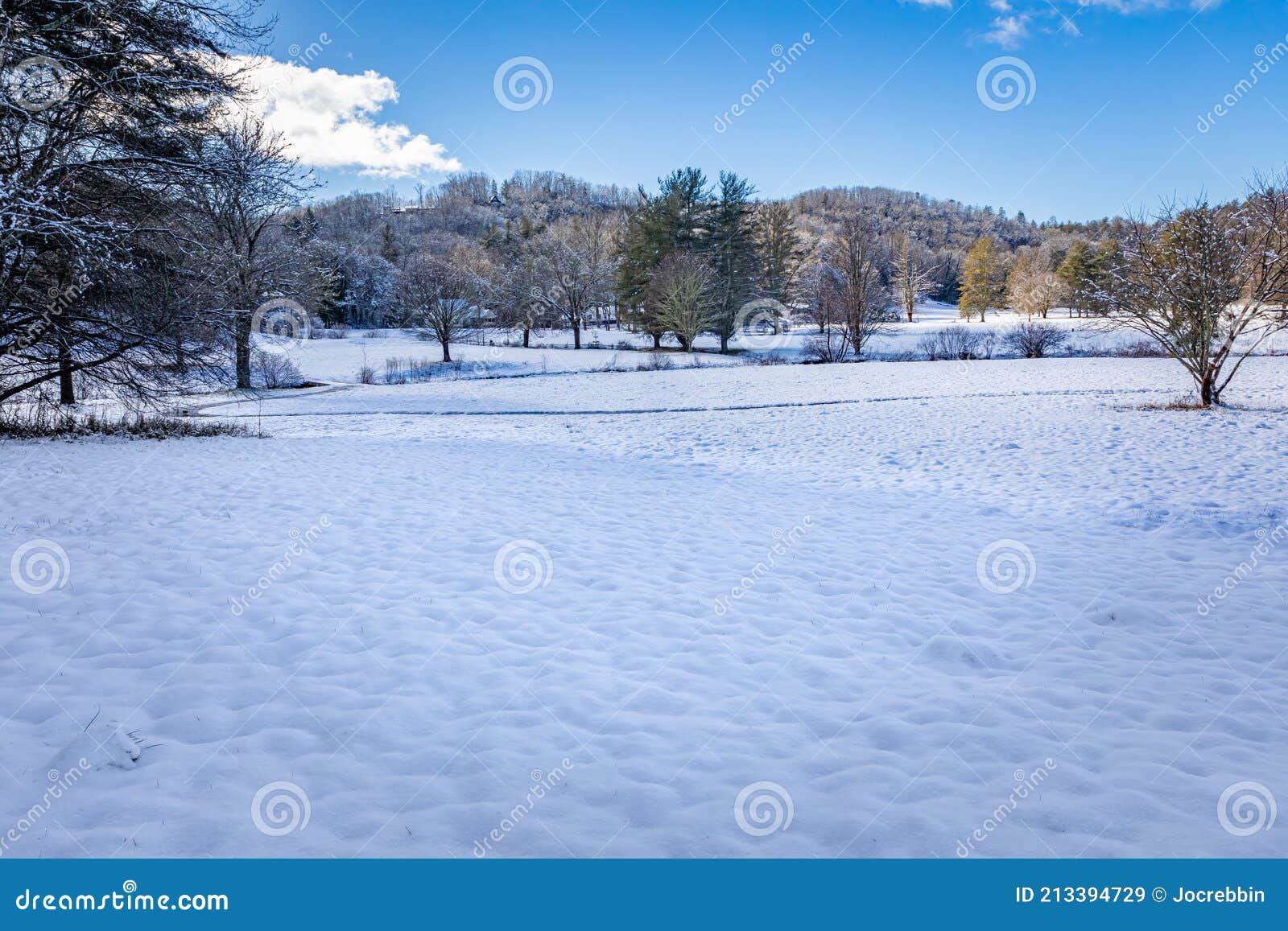 Large Open Meadow Covered in Freshly Fallen Snow Stock Image - Image of ...