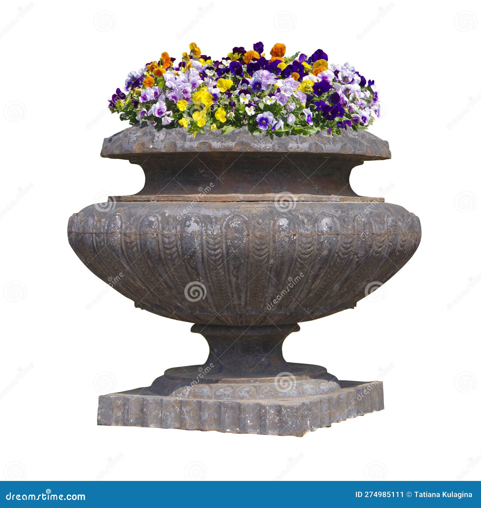 Large Open Vase with Flowering Plants Isolated on a White Background ...