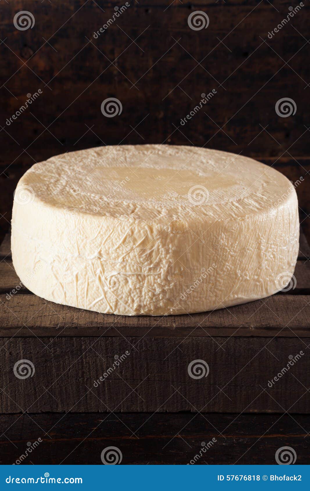 Large Organic White Cheese Wheel Stock Photo - Image of slice, soft ...
