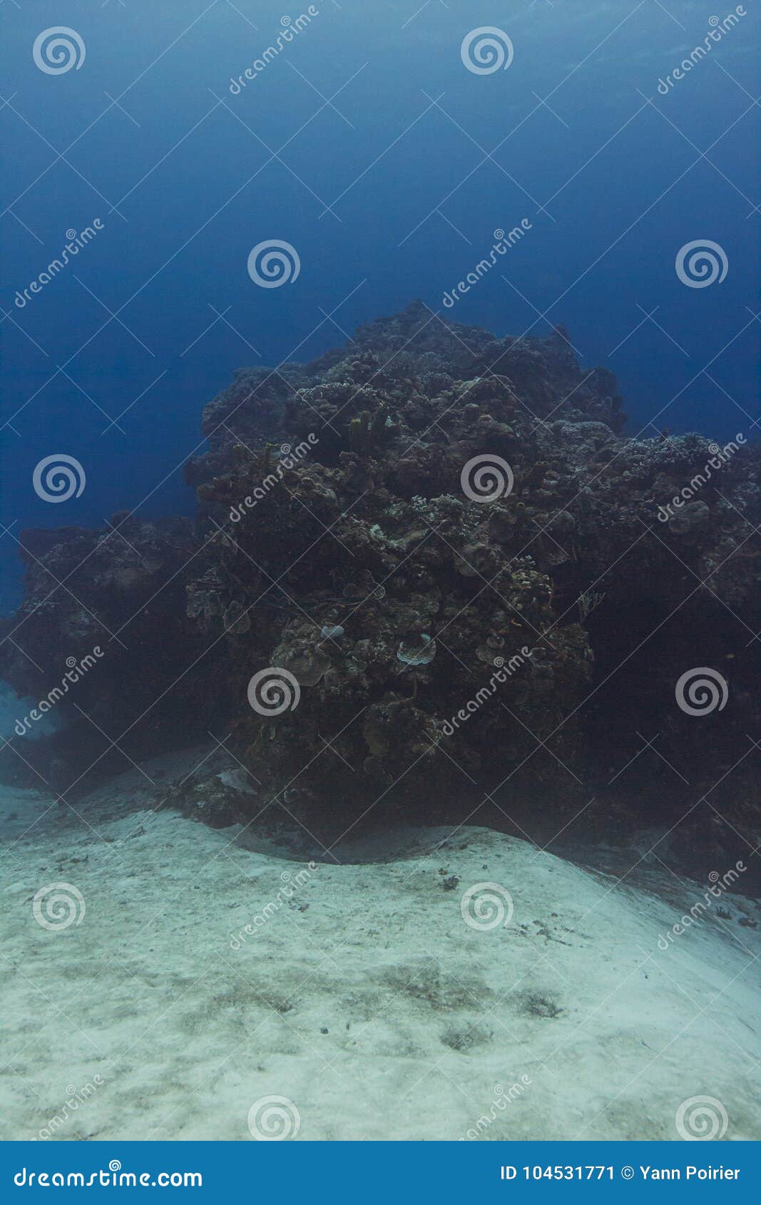 Deep sea coral reef stock image. Image of seascape, tropics - 104531771